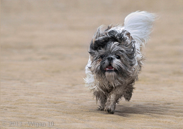 Lady Seito Running on the Beach | Wigan 10